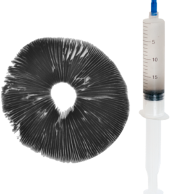 Magic Mushroom Spores | Psilocybin Spores | The Magic Mushroom Company